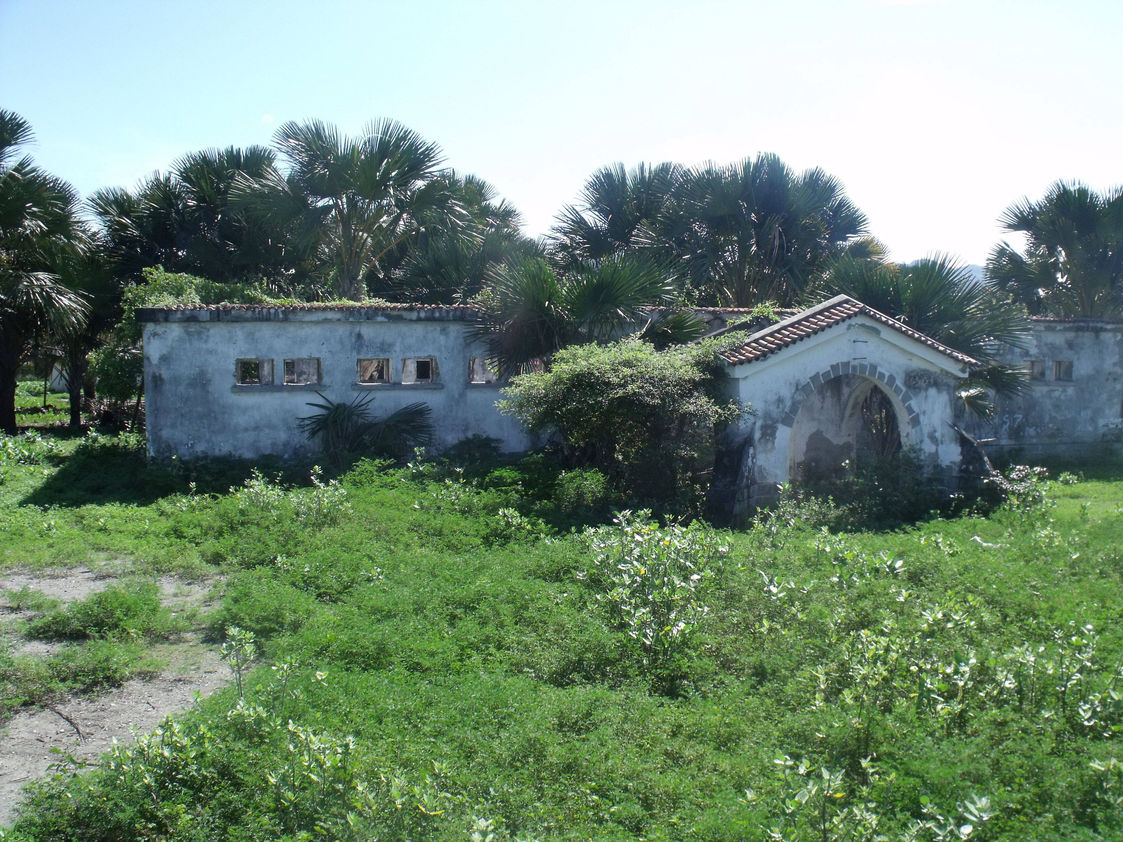 Postcard 5 from Timor Leste - Natarbora to Dili and home. By Tim Holt ...