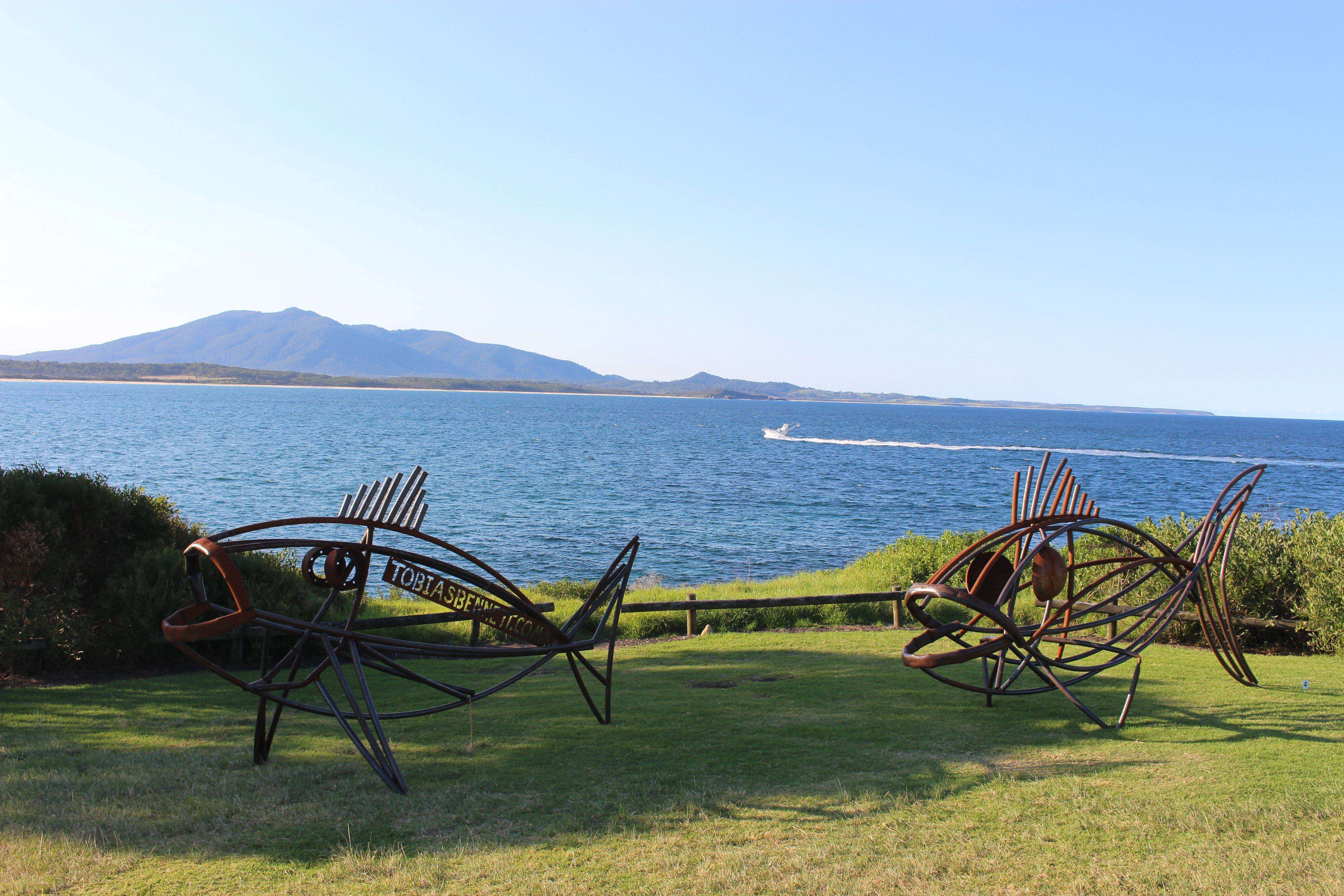 Bermagui's natural sculptures showcase man made talent - Sculpture ...