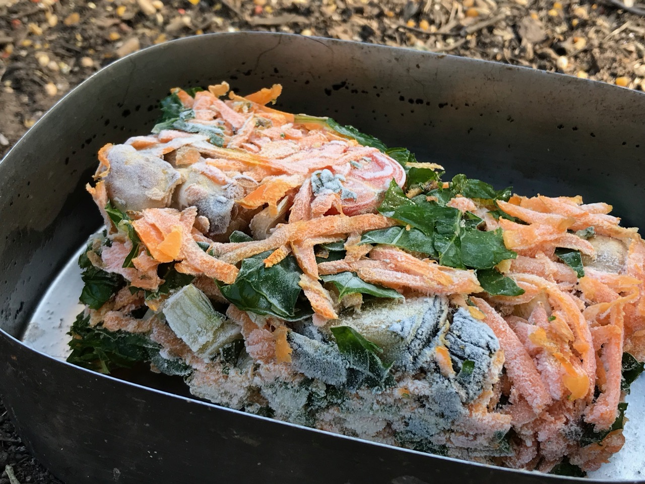 Chook Chat with Cheryl Nelson - Protecting your flock from heat | About ...