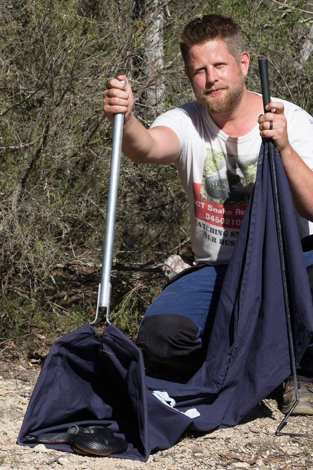 Red-bellied black snake an unwanted soccer recruit during Canberra’s ...