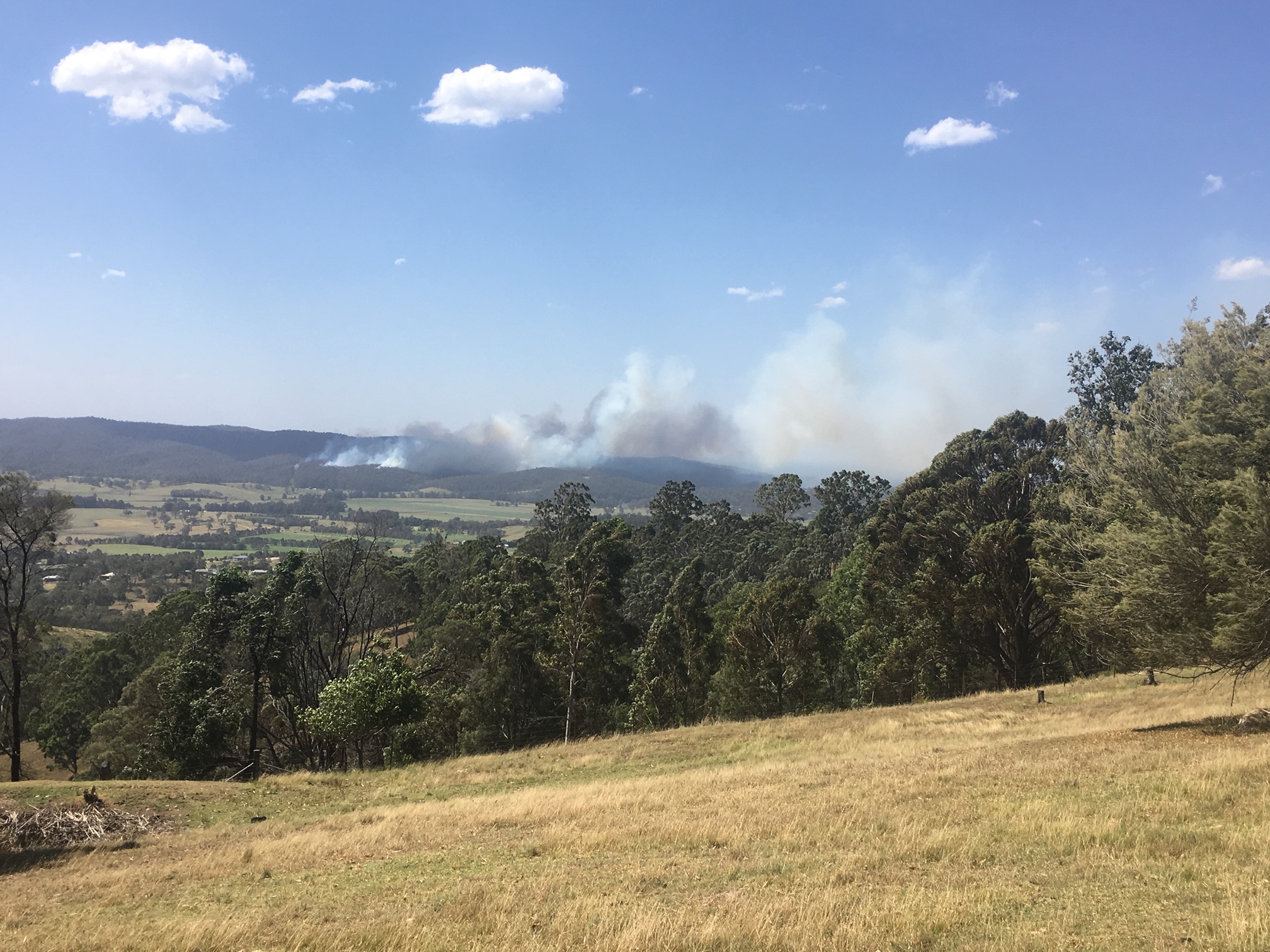 Tathra bushfire survivors sue Essential Energy over 2018 blaze that ...