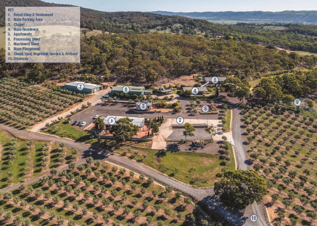 Award-winning Fedra Olive Grove and tourism facilities for sale 55 km ...