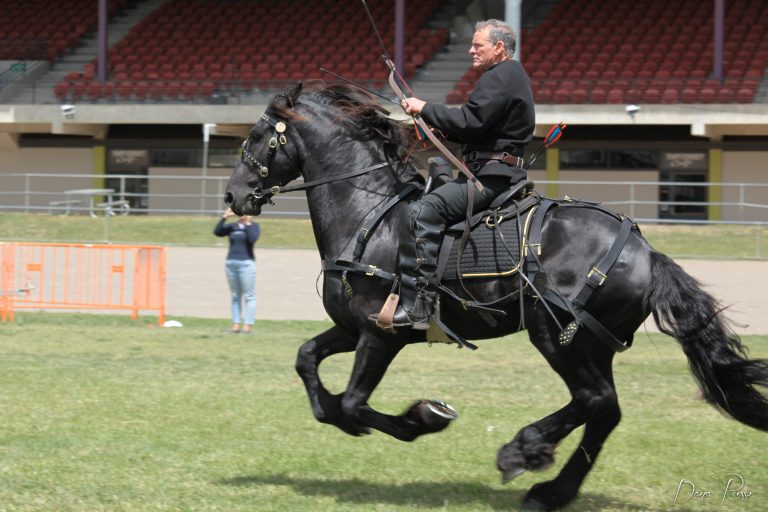 The Knight on the Kings Highway - connecting periods in time | About ...