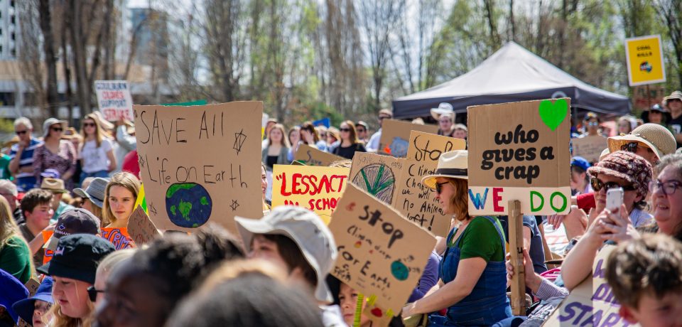 Are Millennial 'snowflakes' so aggravating because they're pretentious ...