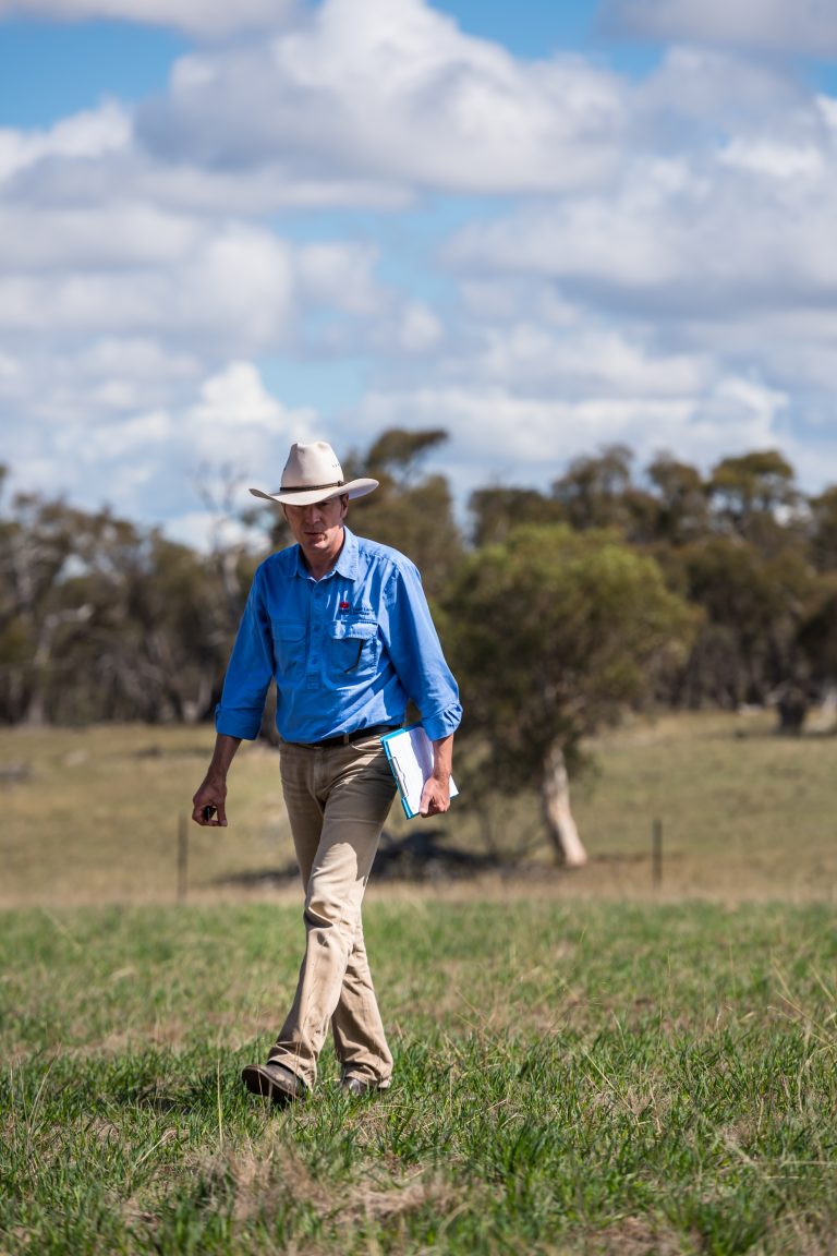 Native Monaro grasses - part of a dry farming future | About Regional