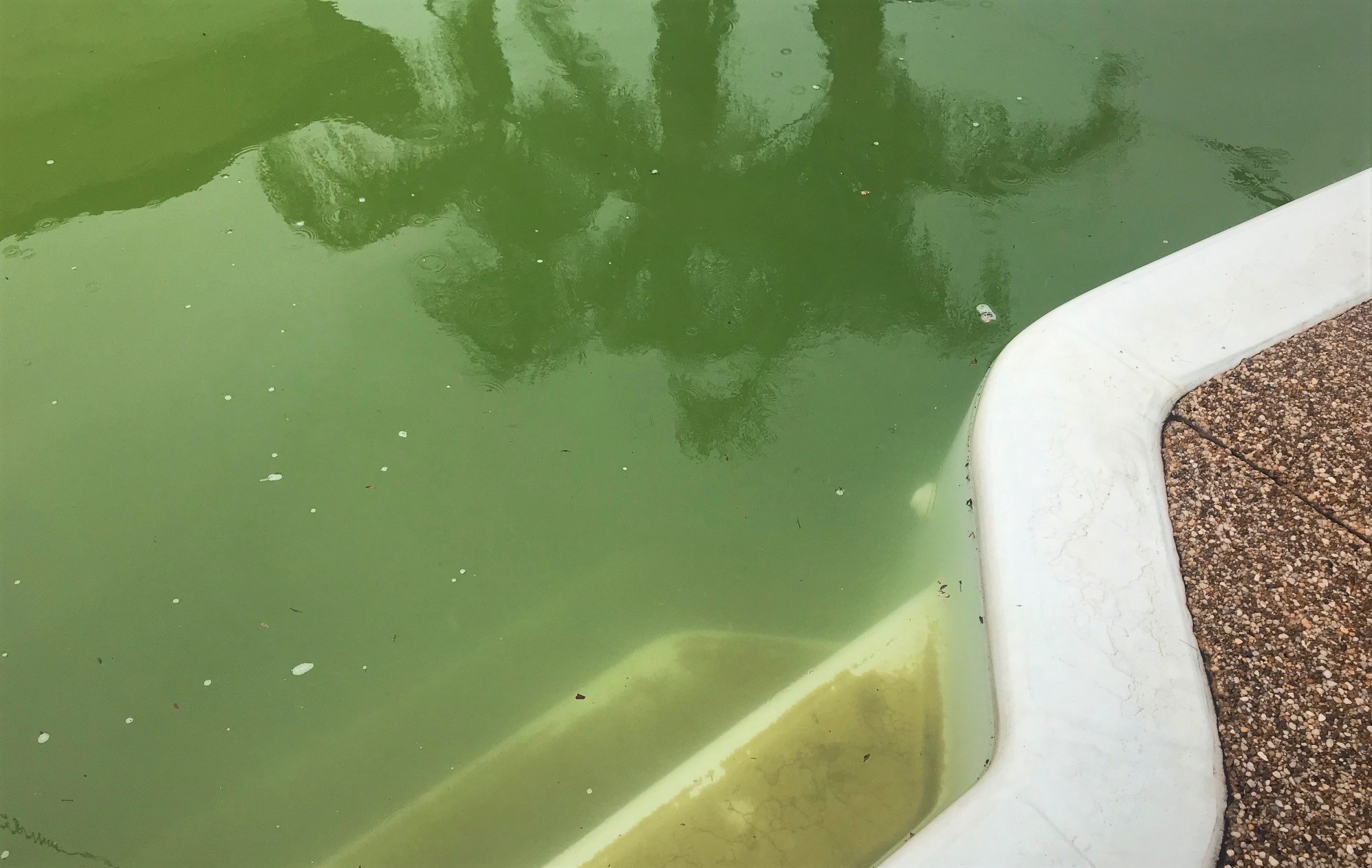 Top tips for cleaning your ash-filled swimming pool | About Regional