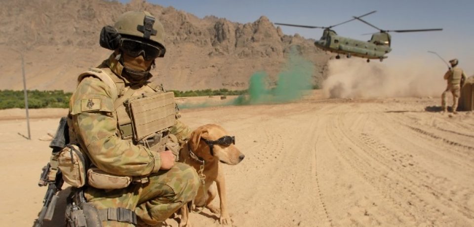 Monument for military dogs unveiled at War Memorial | About Regional