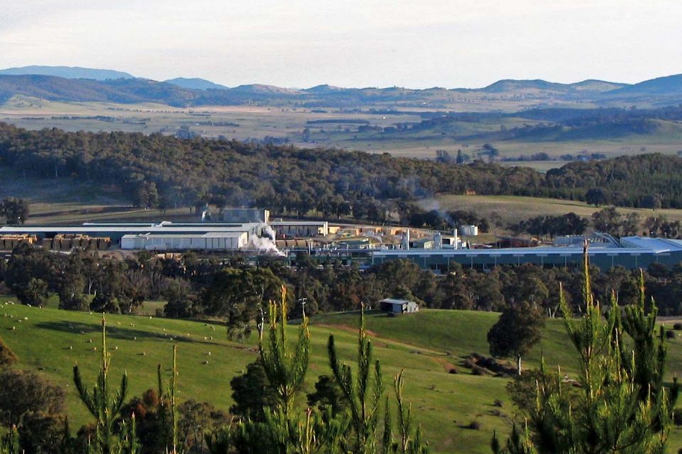 Forgotten fire-affected communities still need support: Albanese ...