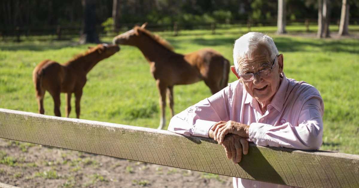 How Terry Snow turned his passion for horses into a legacy for ...