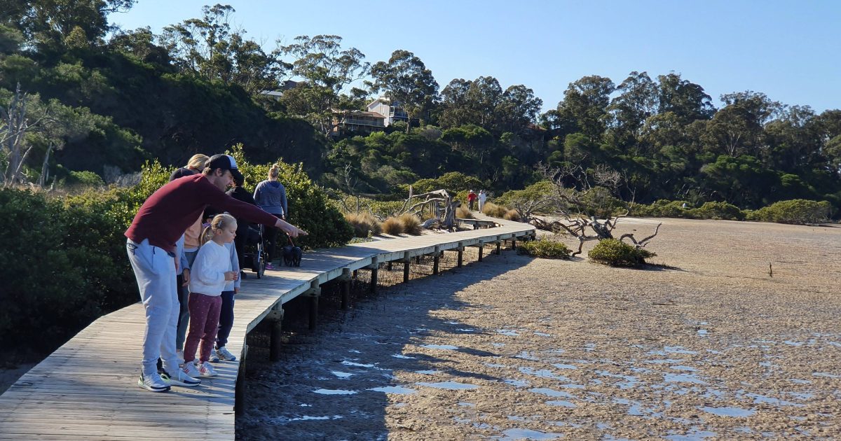 New lease on life for Merimbula Boardwalk as $14 million project ...