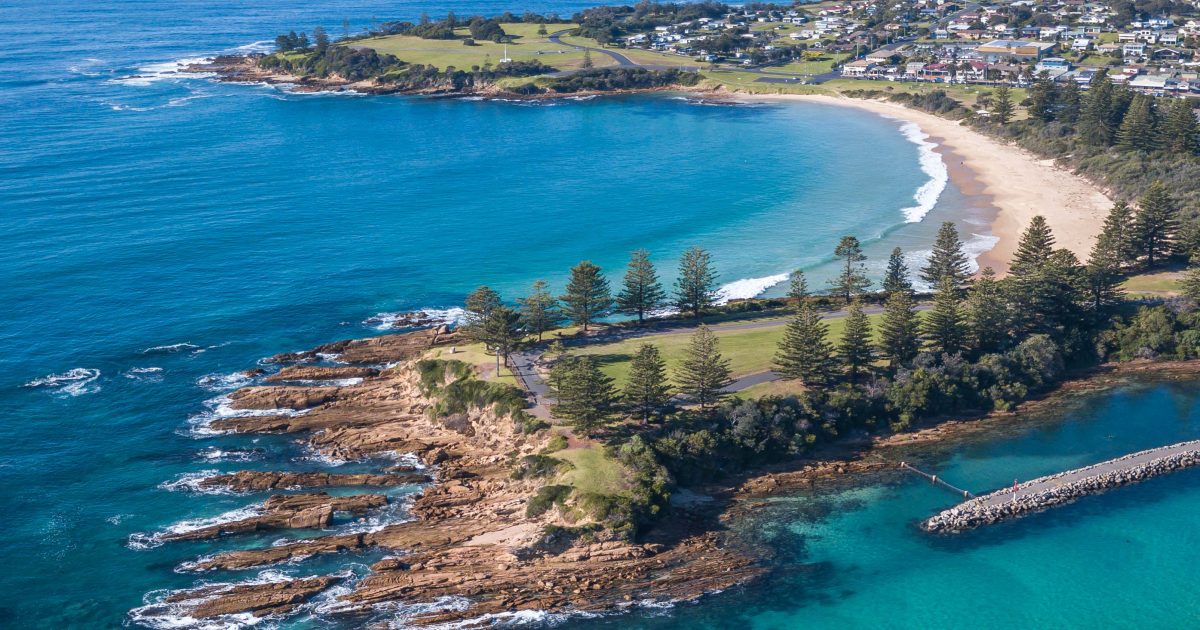 Far South Coast a regional hot spot for migration | About Regional