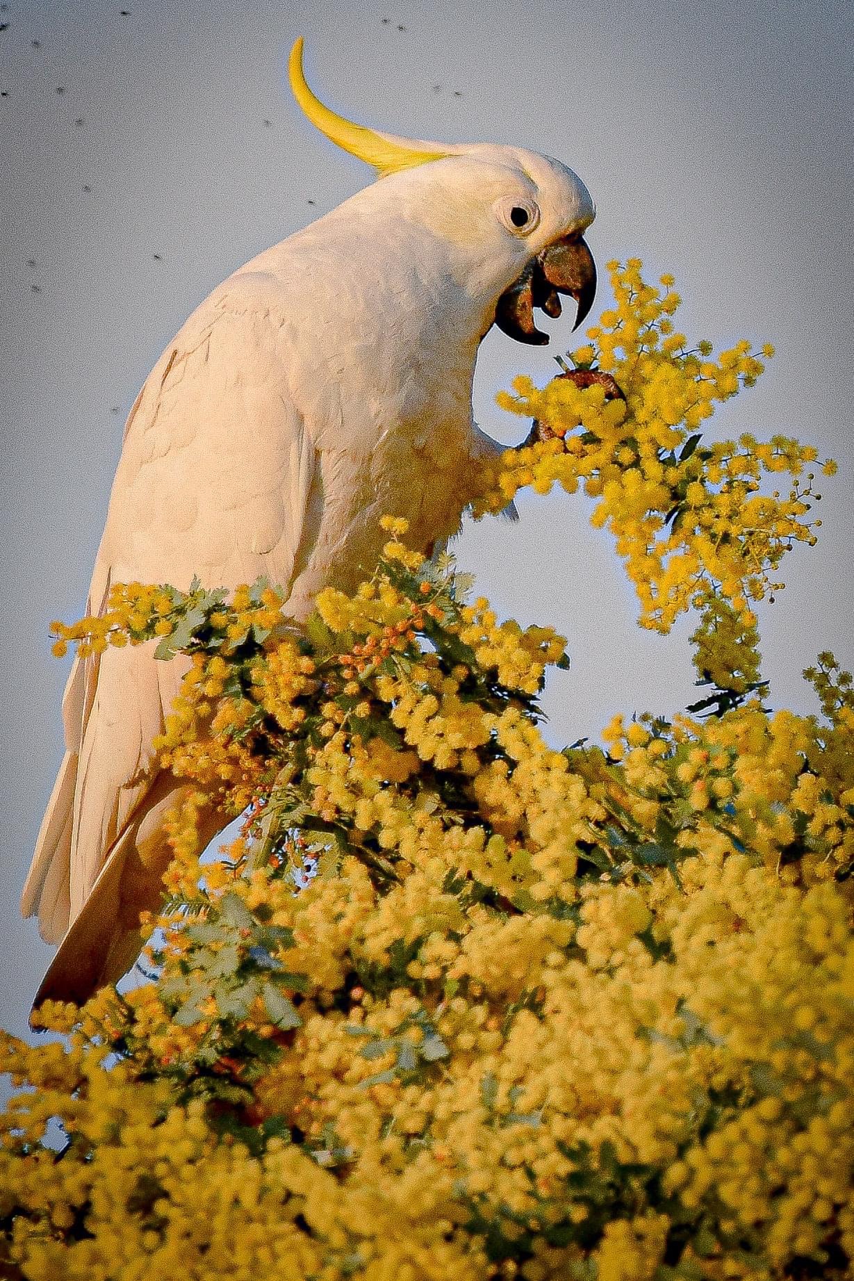 Capturing images of real life in the most extraordinary of times ...