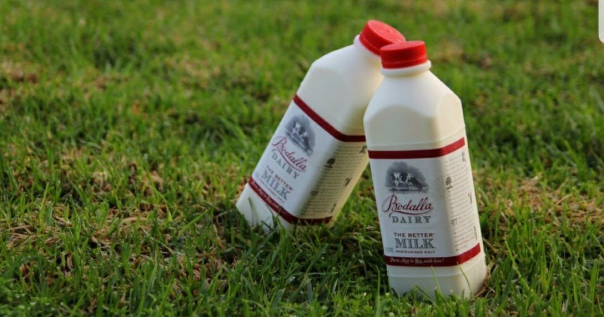 Bodalla Dairy stopping milk production after wastewater concerns raised ...