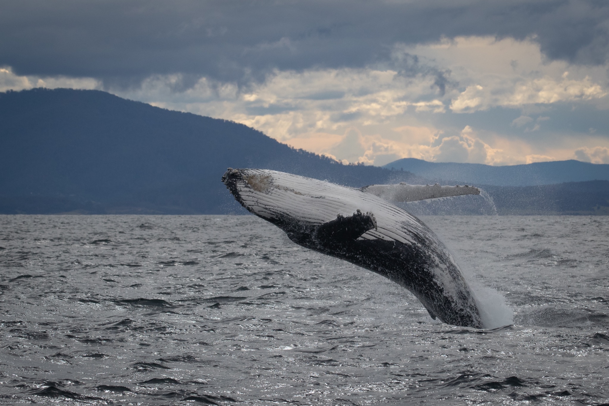 Nine things to do in the regions this week (8 - 14 September) | About ...