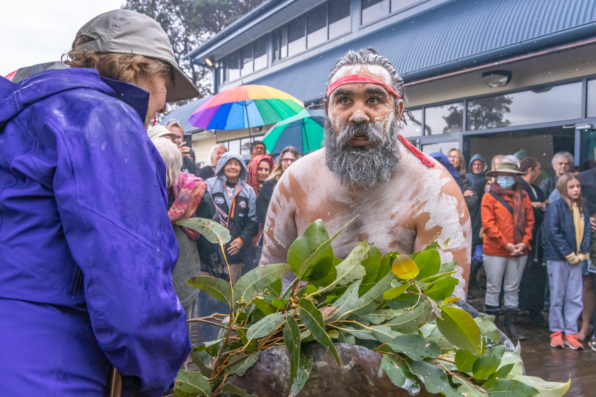Special cultural festival welcomes whales as they head home past ...