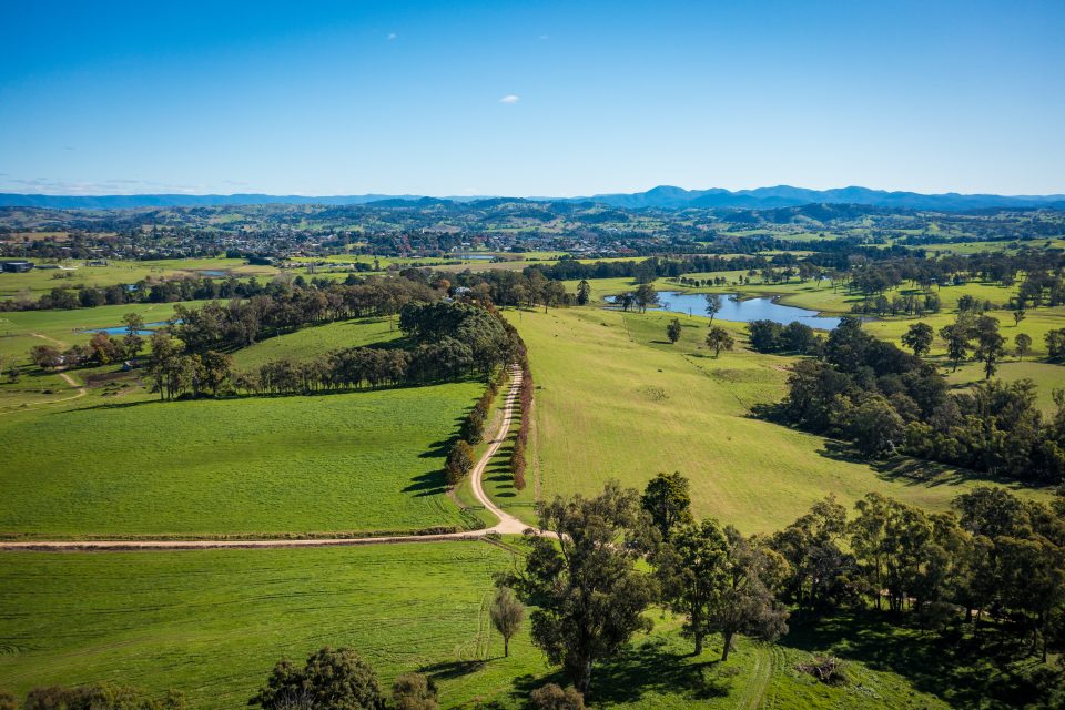 Historic Daisy Bank dairy farm sale the end of an era for pioneering ...
