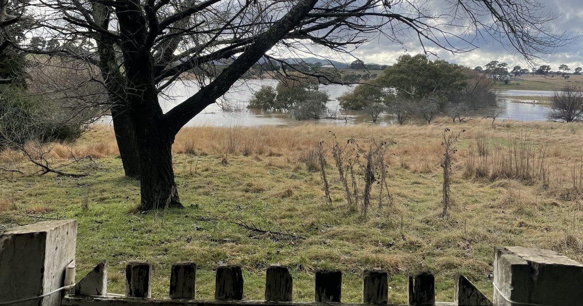 Why farmers still rule the roost, rain, hail or (no) shine | About Regional