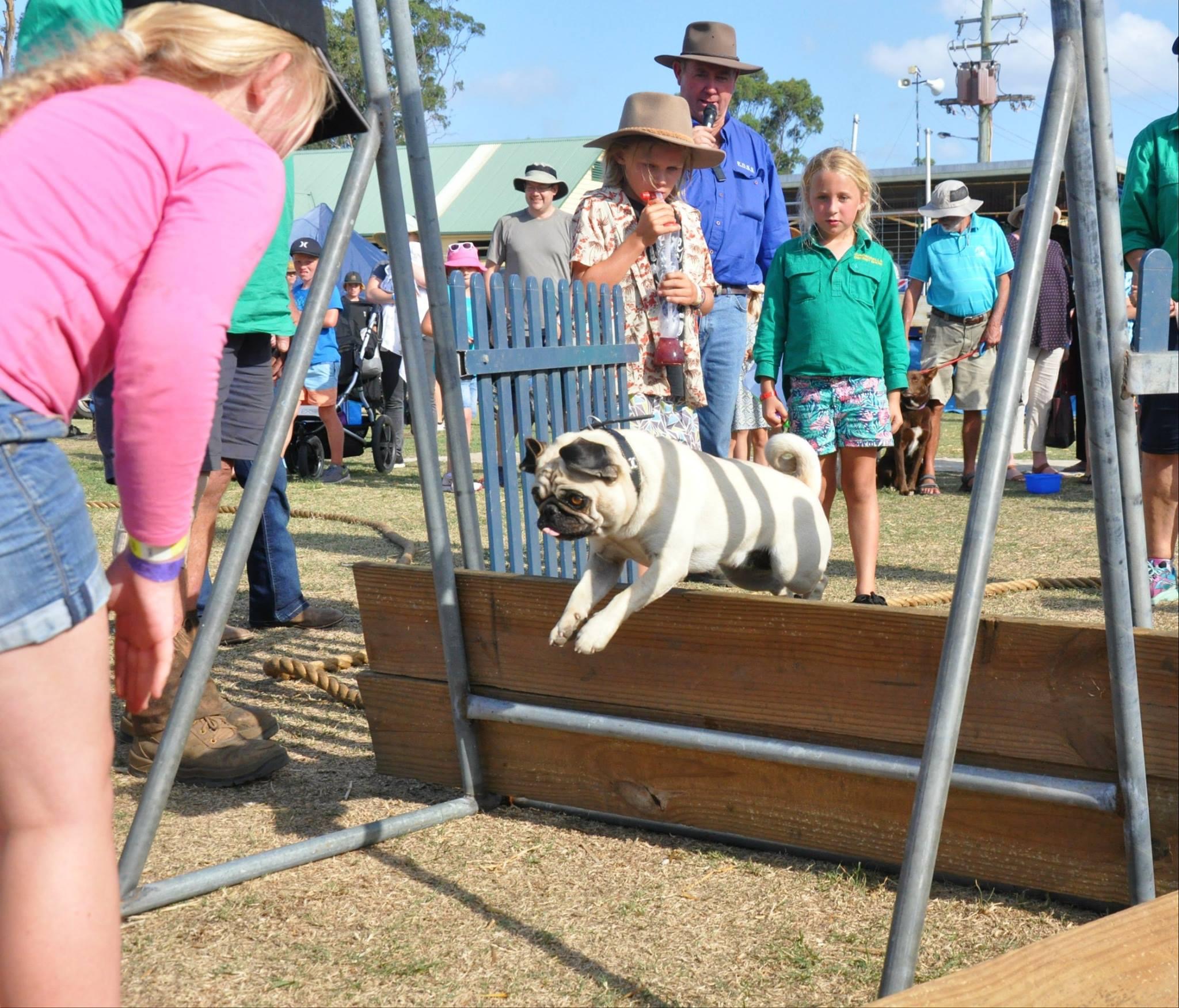 South East's 2025 agricultural show season starts this weekend | About Regional