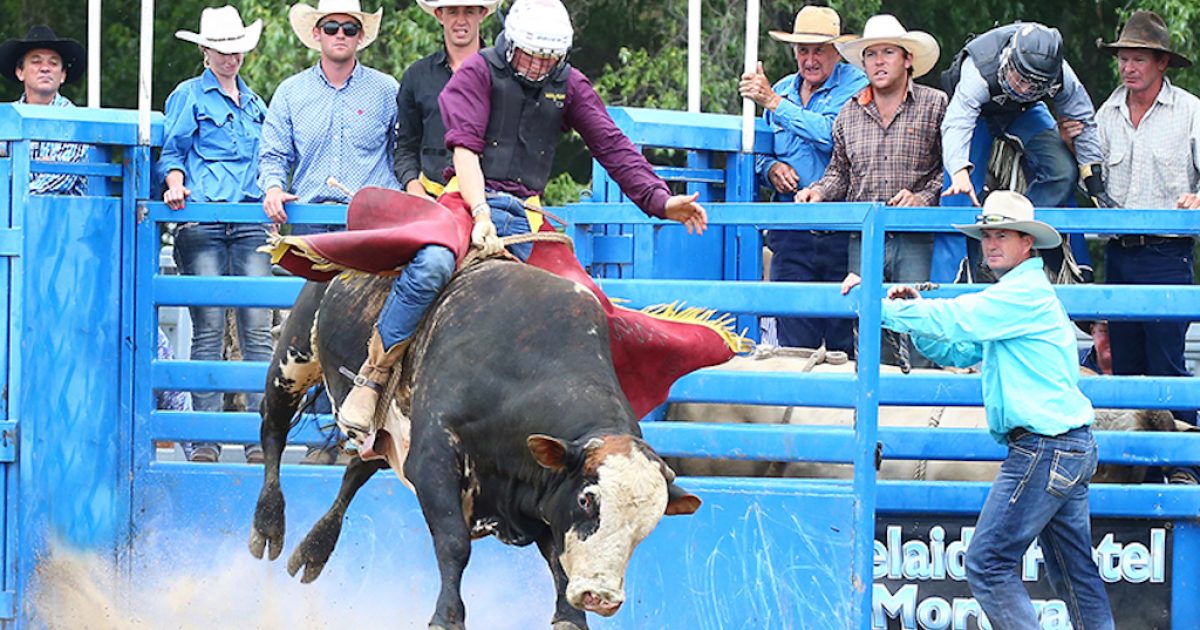 Best of the bulls step up for Taralga Rodeo’s return | About Regional