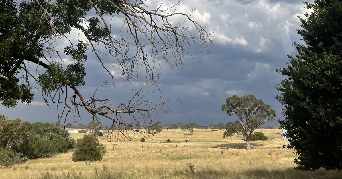 Wet weather makes a wild return to capital region | About Regional