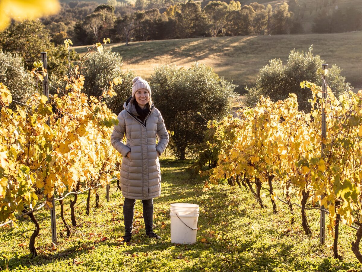 Five minutes with Emma Shaw, Collector Wines and Pique Nique | About ...