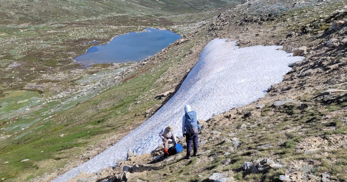 'Climate change affecting snow patches' in Snowy Mountains | About Regional