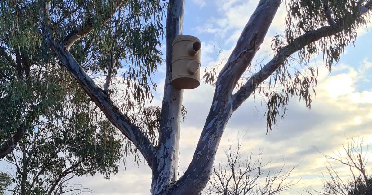 New homes for homeless critters at Two Thumbs Sanctuary | About Regional