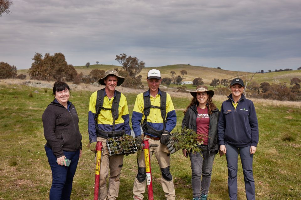 From little things big things really can grow ... in Wheeo (pop 77 ...