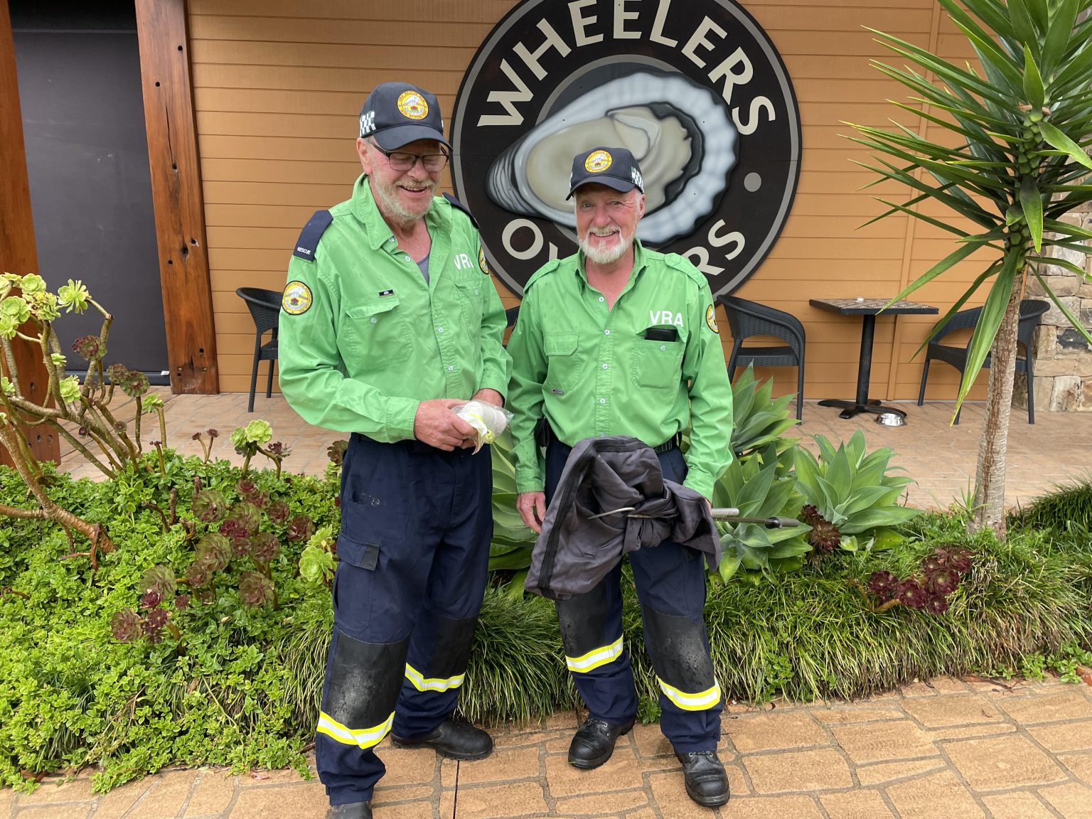 Venomous snake's surprise visit to South Coast restaurant brings ...
