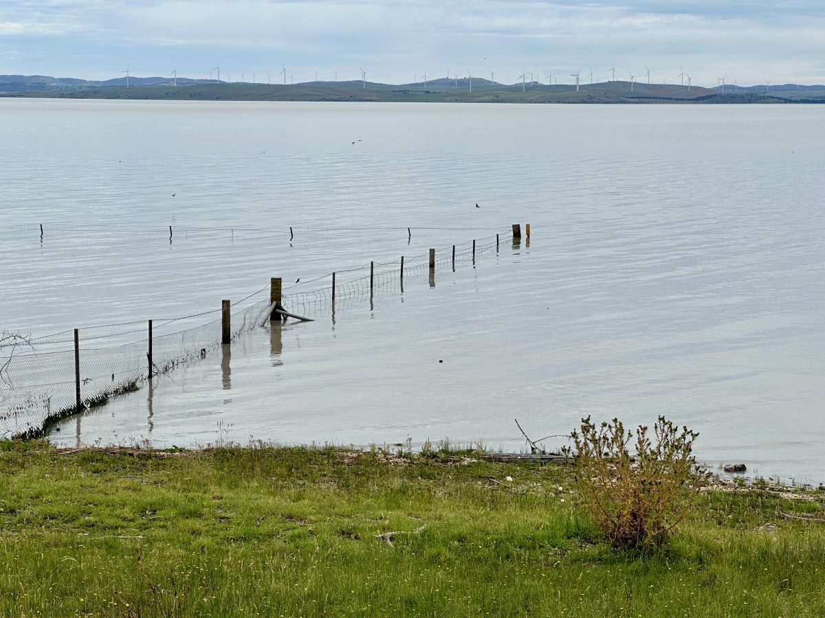 Lake George hasn't been this full for this long since the 1960s - why ...