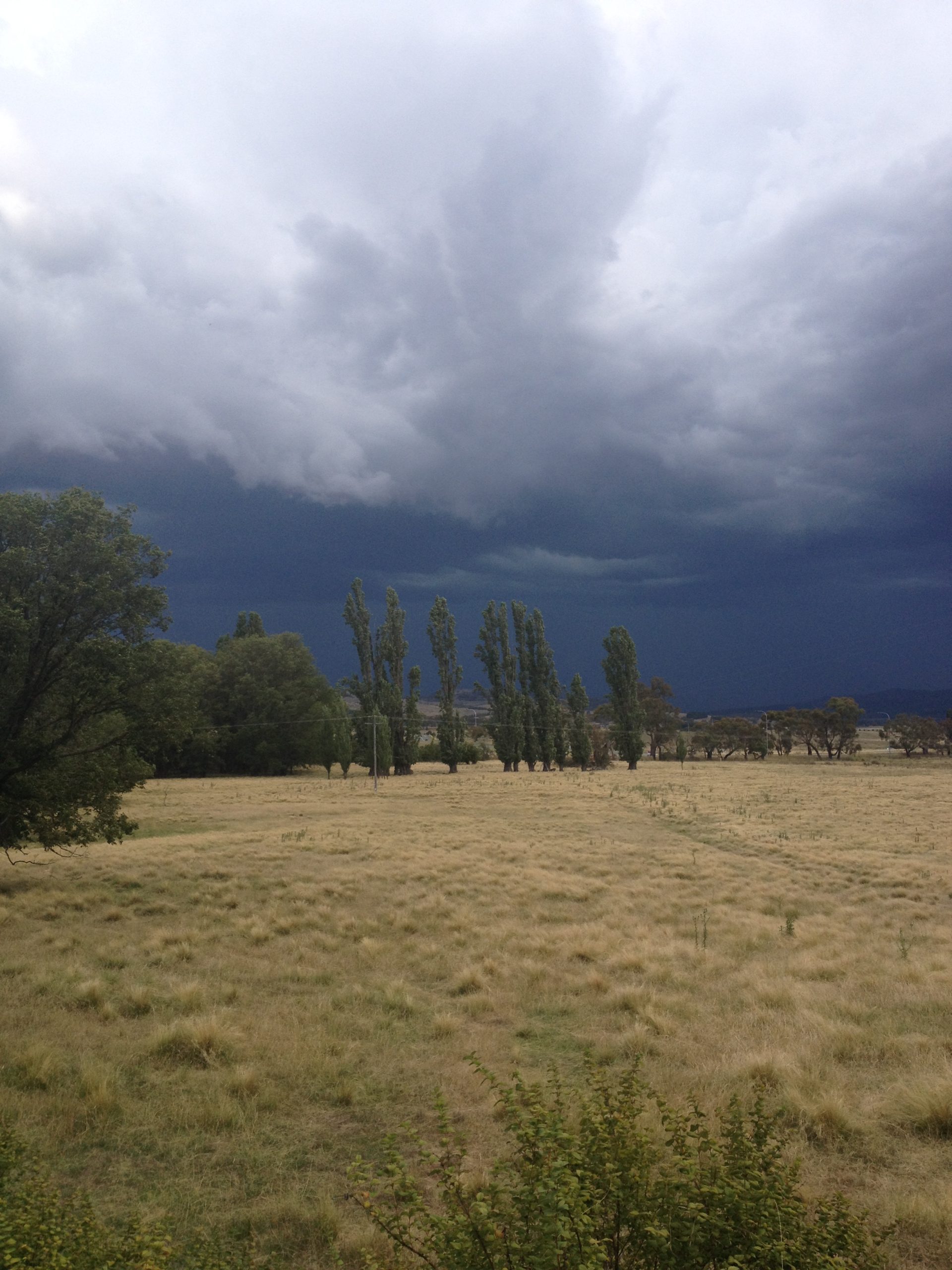 Why someone should put a BOM under El Nino - and run for cover | About ...