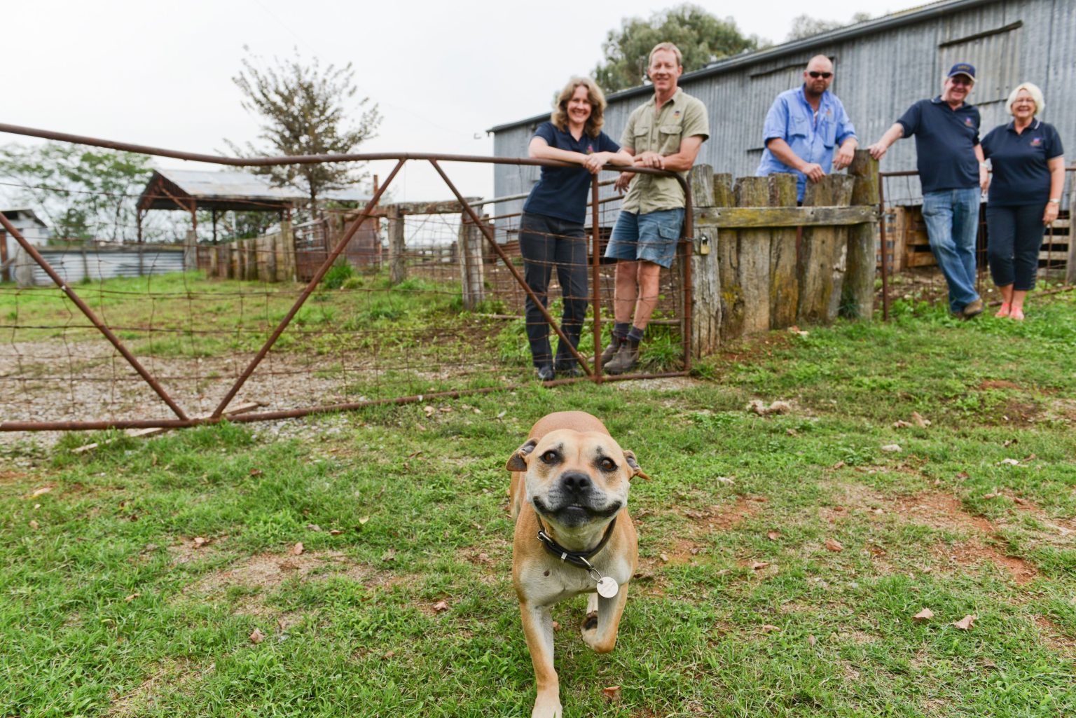 At 74, Murrumbateman vintner revs up for a new career in a faster lane ...