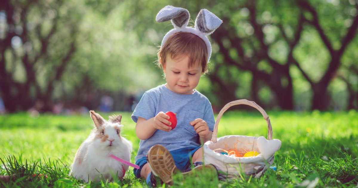 Don't be cross - what's your weirdest Easter tradition? | About Regional