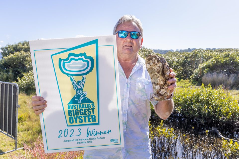 Be shell-shucked by Australia’s biggest oysters in Narooma | About Regional