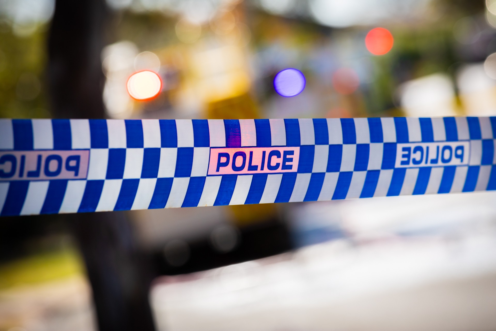 Unidentified bone fragments found during investigation into decades-old ...