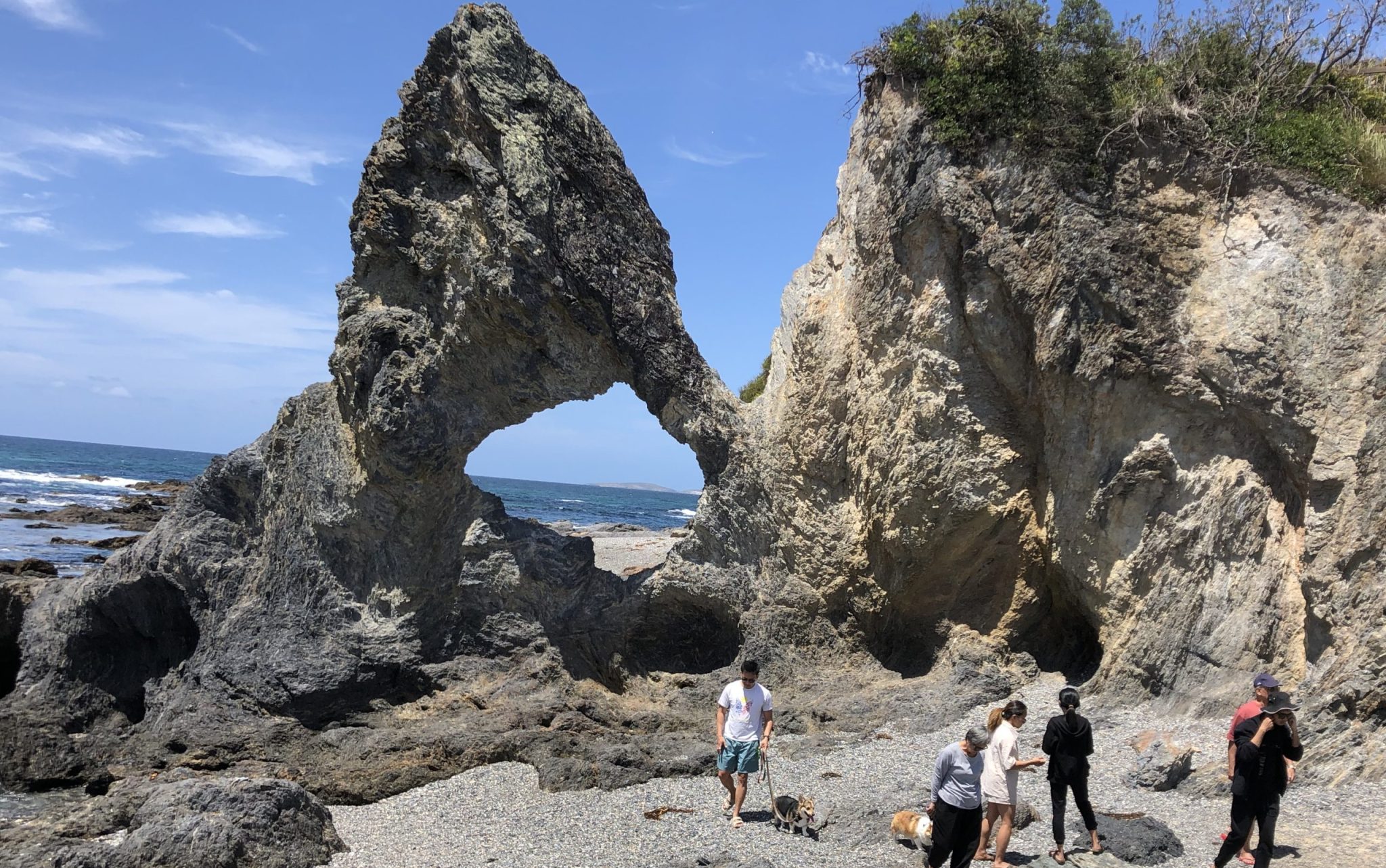 Narooma's Australia Rock is but a fleeting phenomenon | About Regional
