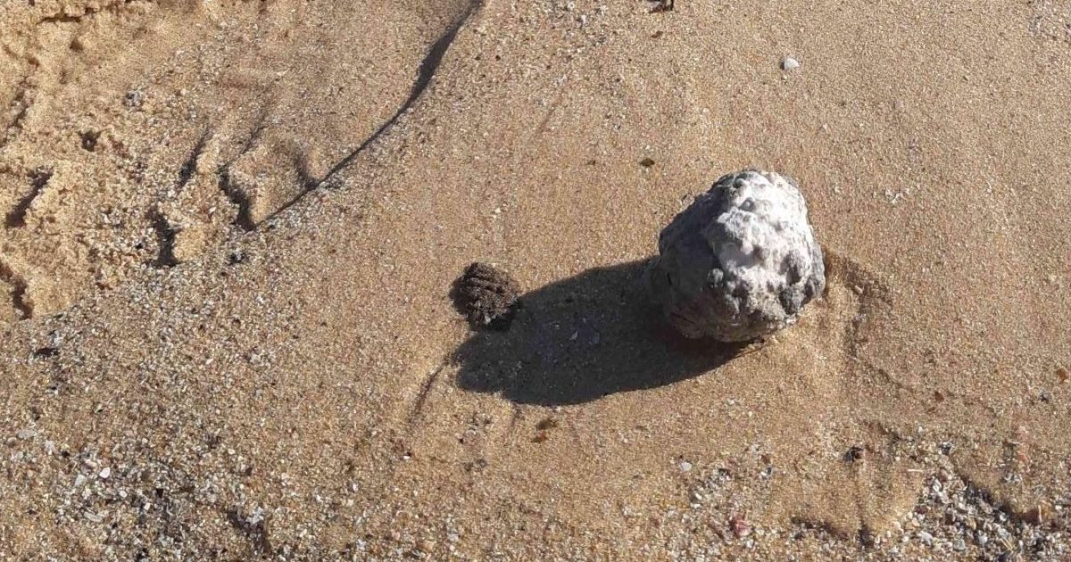 Waste balls found on South Coast beaches likely from Sydney sewerage ...