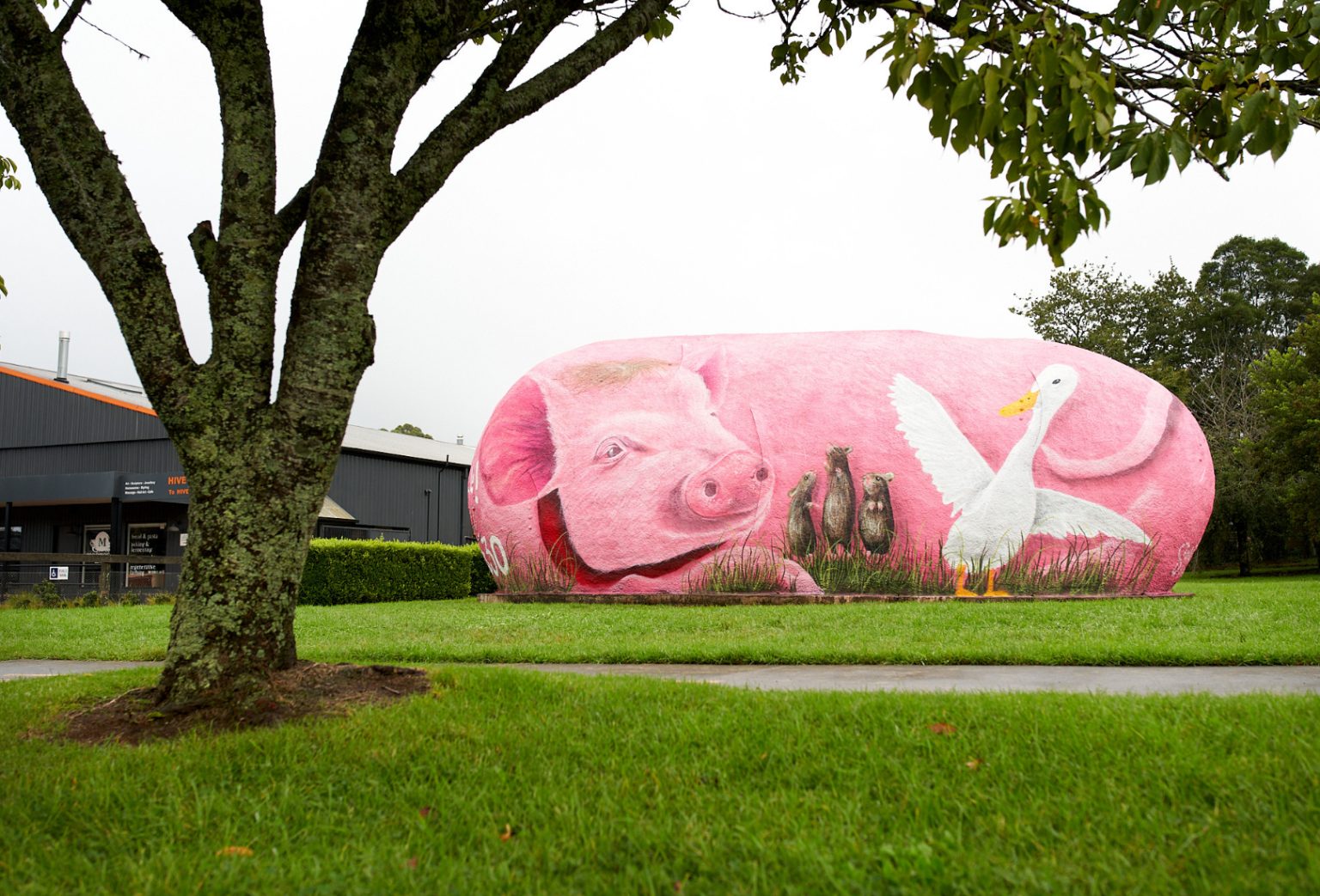 Robertson's 'Big Potato' becomes 'Pig Potato' to celebrate 30 years of ...