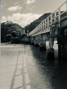 Bega Valley council engages consulting firm for Cuttagee Bridge ...