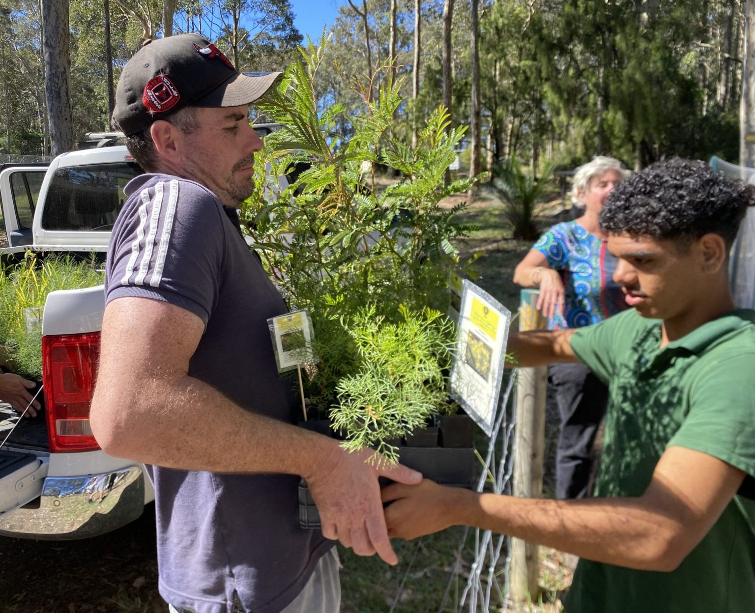 Narooma High School's native plant nursery supports Walawaani Way ...