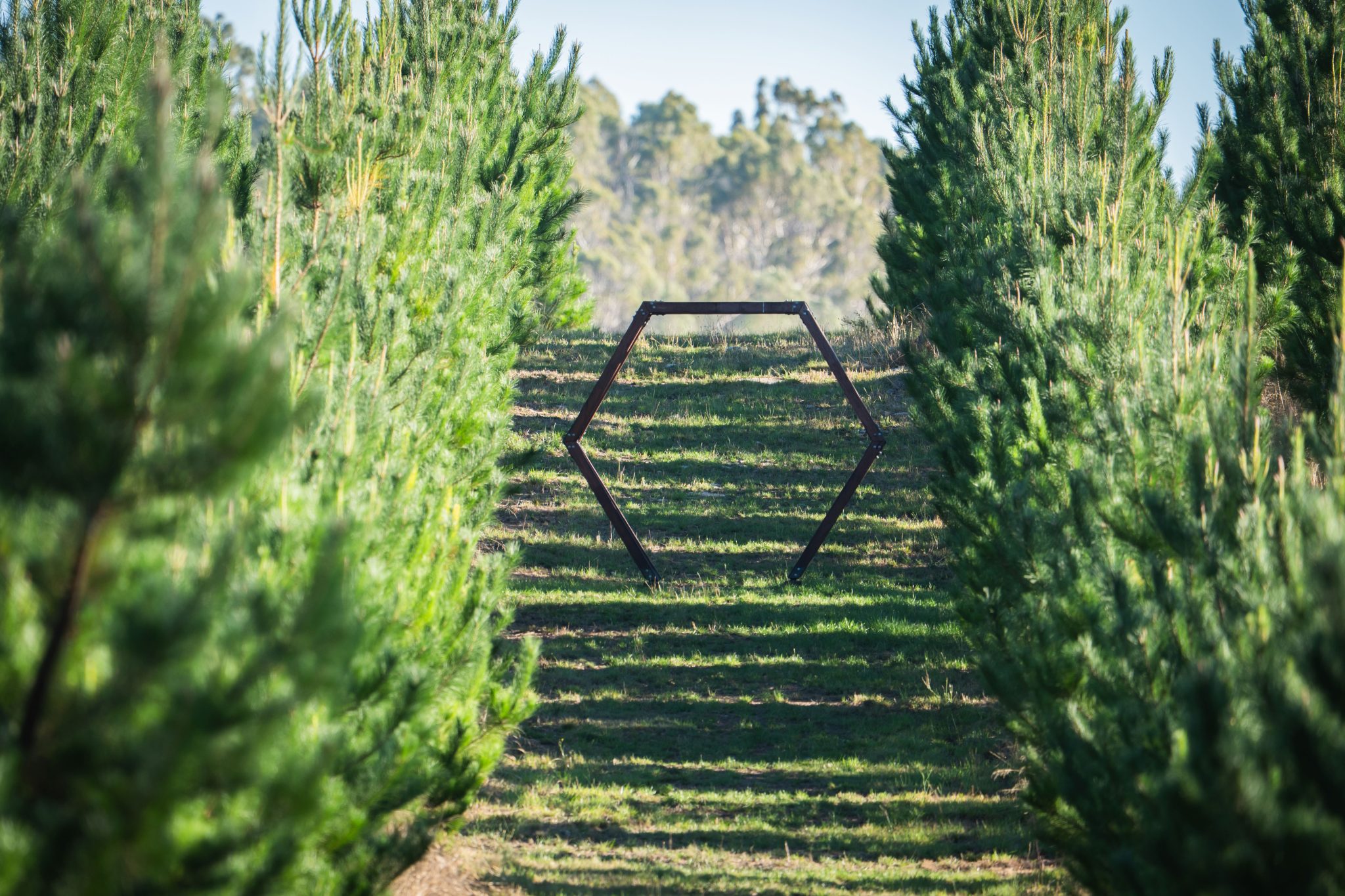 Snowy Valleys community celebrates grand opening of tourism facilities ...