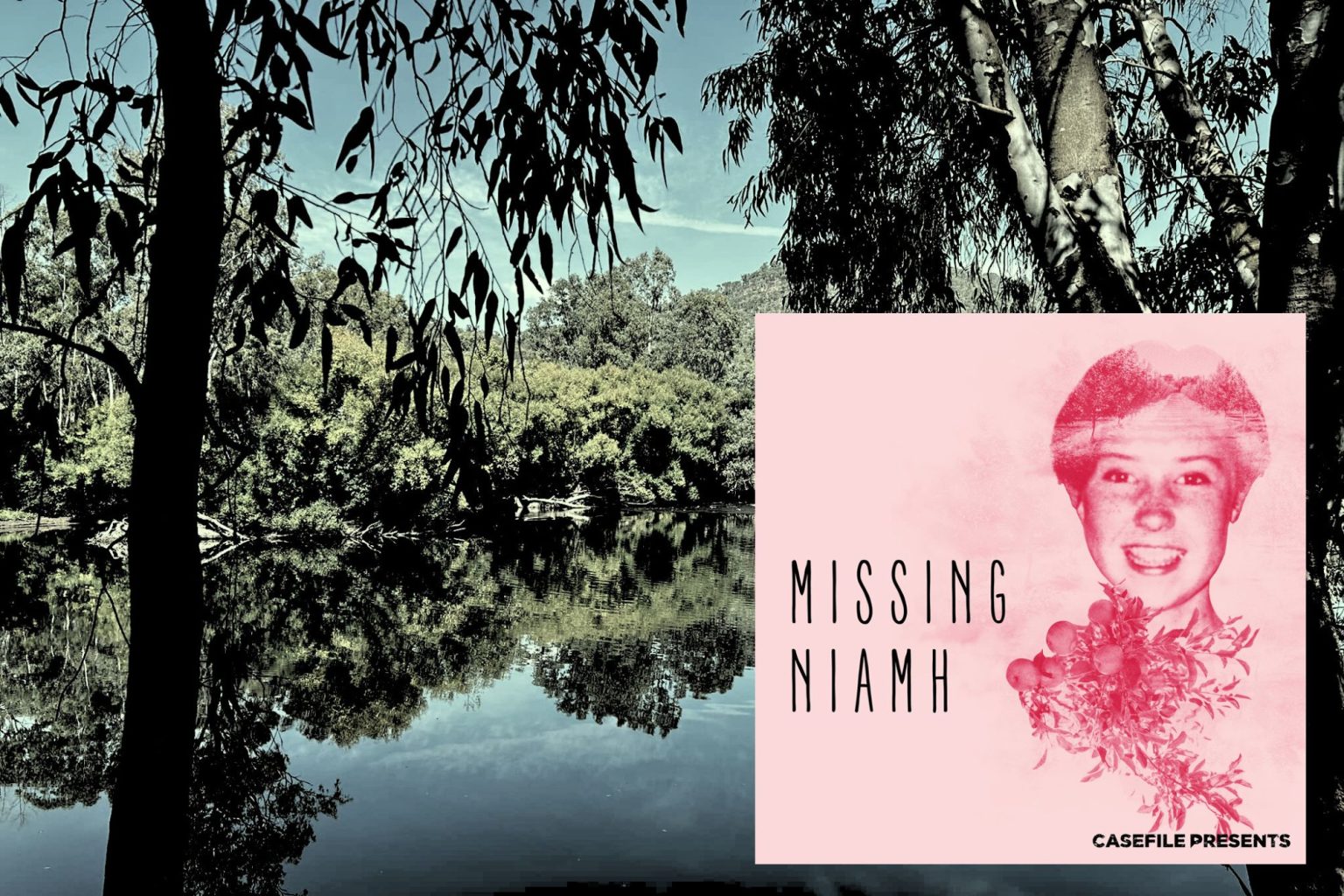 'Missing Niamh' podcast becomes family’s last hope as police exhaust leads | About Regional