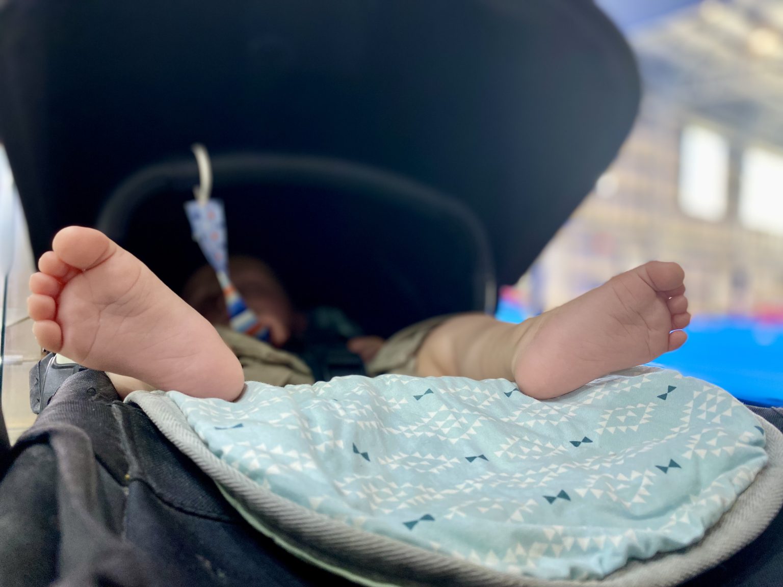 New $2.8 million childcare centre, tree removal proposed for Bega ...